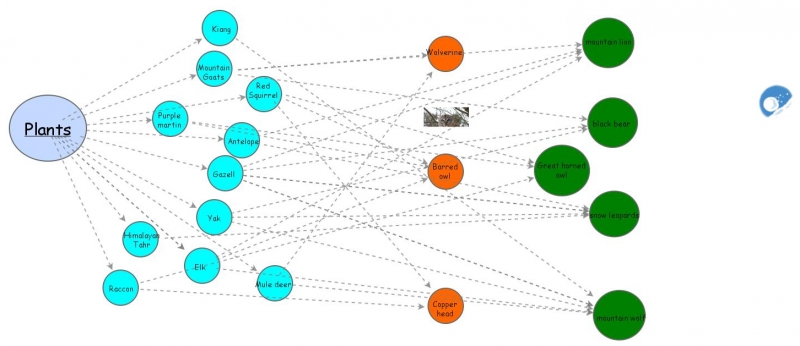 Mountain food web | Insight Maker