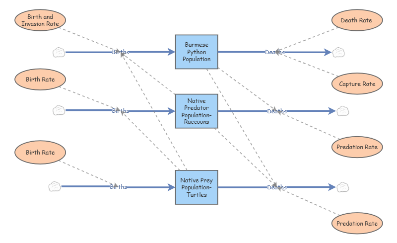 Final Project- Invasive Species in The Everglades | Insight Maker