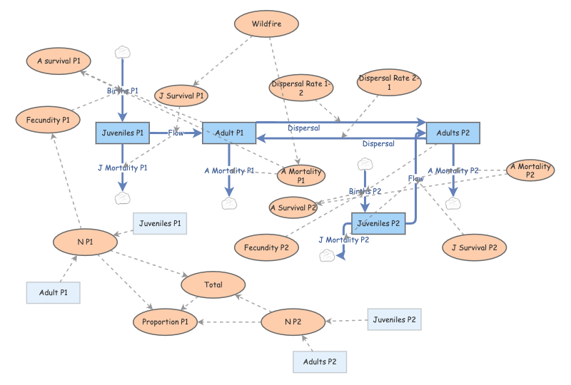 Metapopulation | Insight Maker
