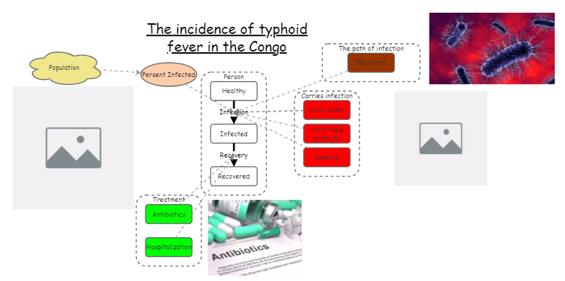 Typhoid fever 2 | Insight Maker