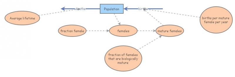 Population | Insight Maker