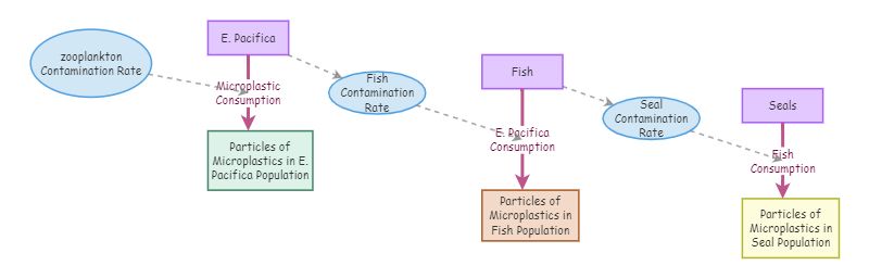 biomagnification of microplastics | Insight Maker