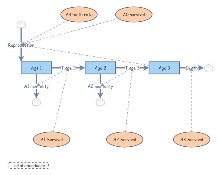 Age Structure Insight Maker 