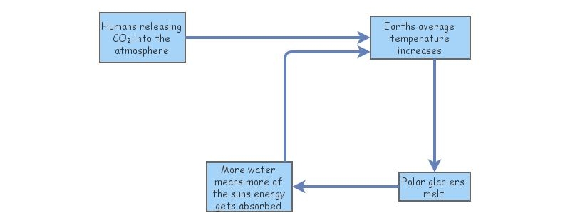 Positive Feedback Loop | Insight Maker