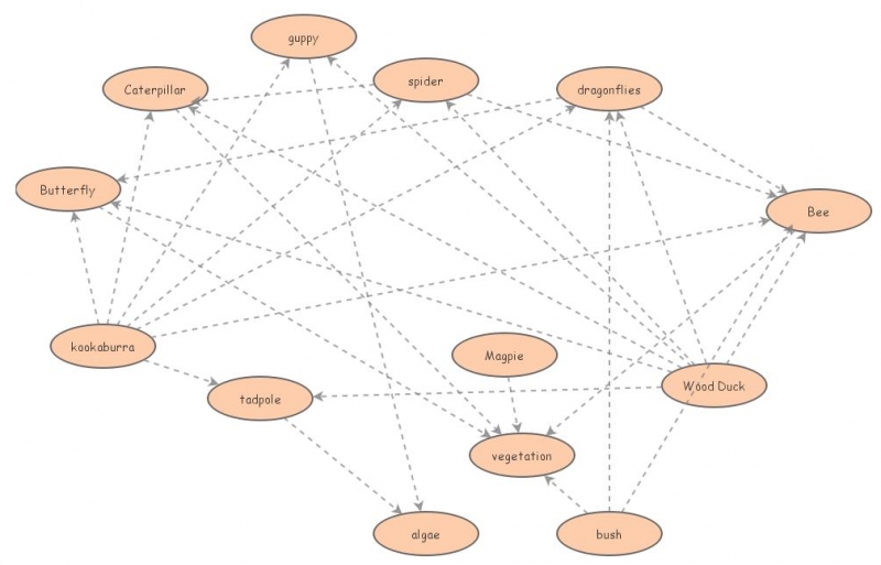 foodweb | Insight Maker
