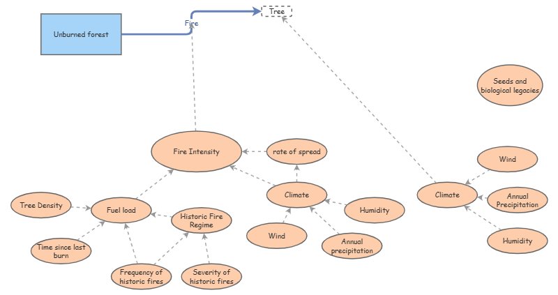 Clone of Fire Ecology | Insight Maker