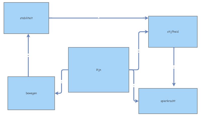 Pijn model Dineke | Insight Maker