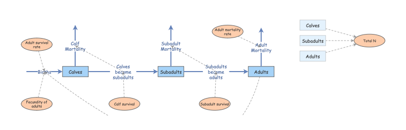 Moose Matrix Model (Lecture Example) | Insight Maker