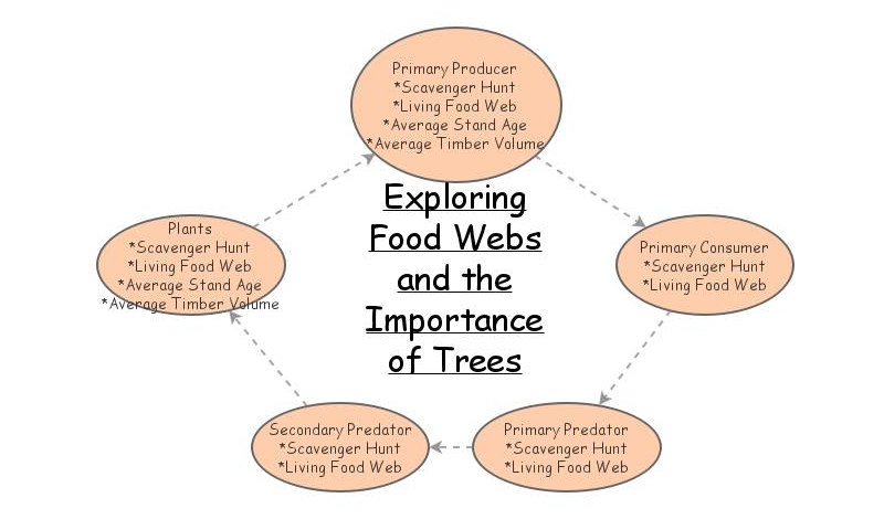 Lesson organizer | Insight Maker