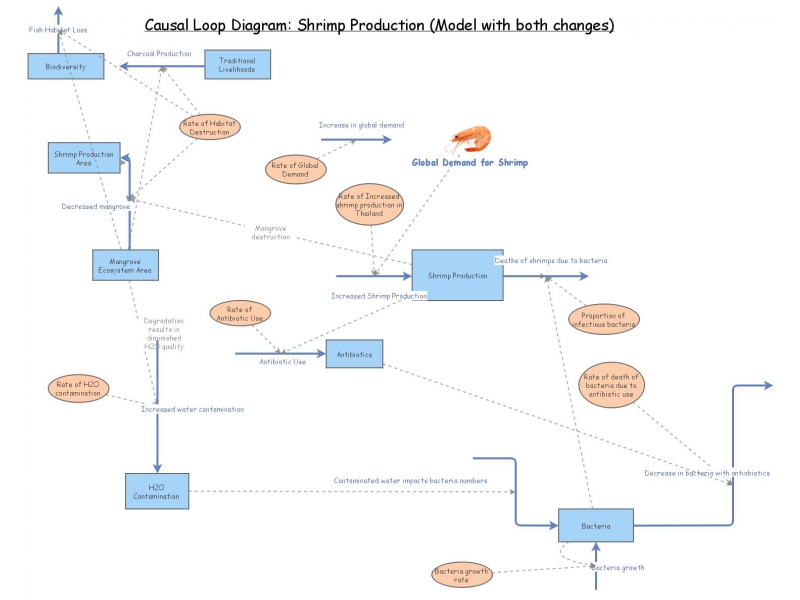 Causal Loop Diagram: Shrimp Production (Model with both changes ...
