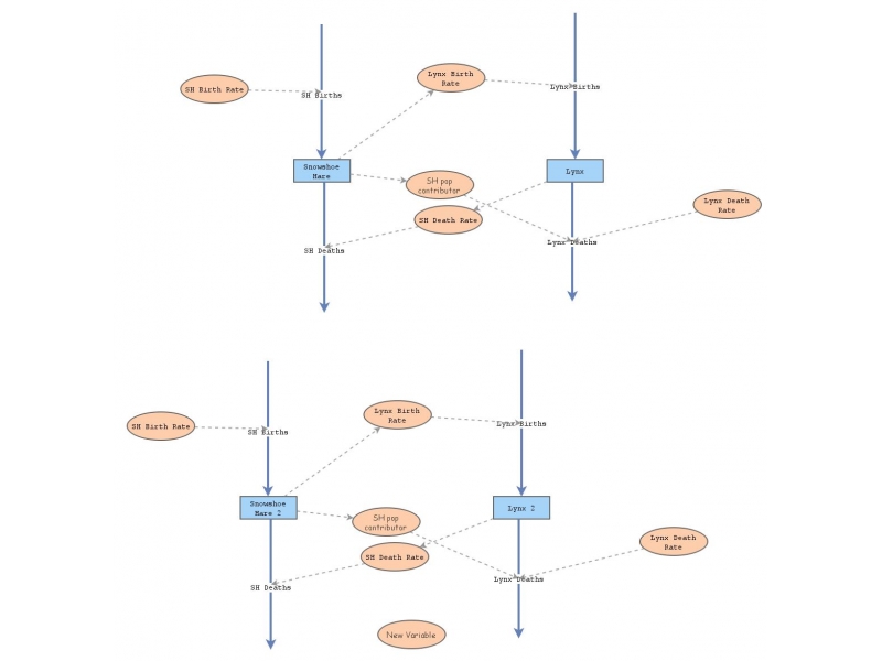 Clone of Bio Project-Lynx/Snowshoe Hare-->Predator/Prey Relationship | Insight Maker