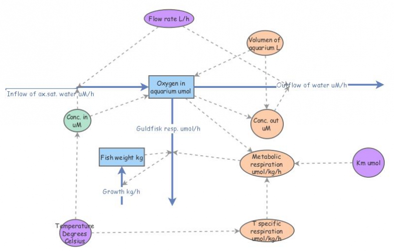 Goldfish, with ox.in aq | Insight Maker
