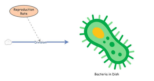 bacterial growth | Insight Maker