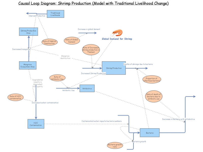 Causal Loop Diagram: Shrimp Production (model with traditional ...
