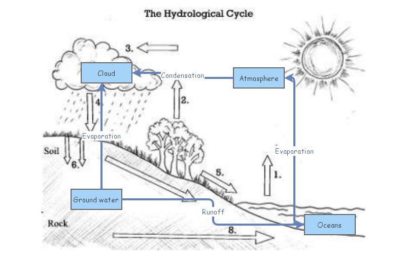 My water cycle | Insight Maker