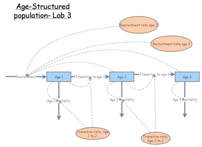 LAB 3- Exercise 3 | Insight Maker