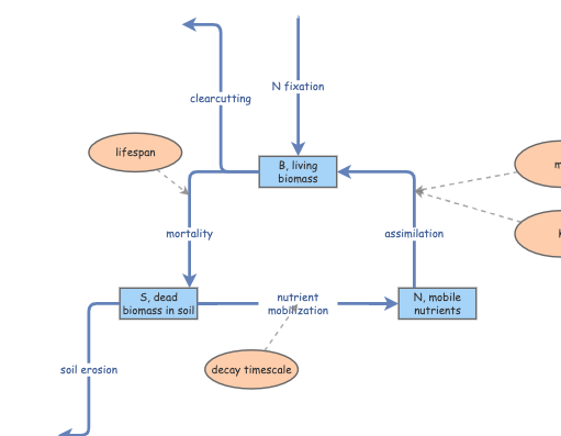Terrestrial N cycle model template - Tropical Rainforest | Insight Maker