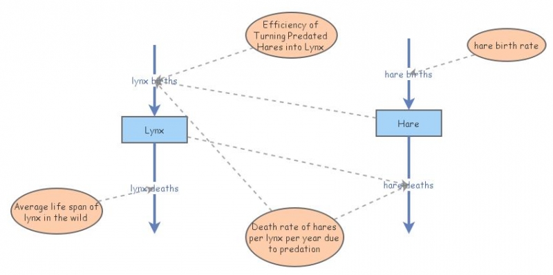 lynx/hare population | Insight Maker
