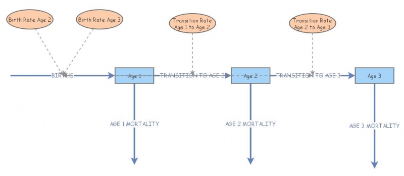 Age-Structure | Insight Maker