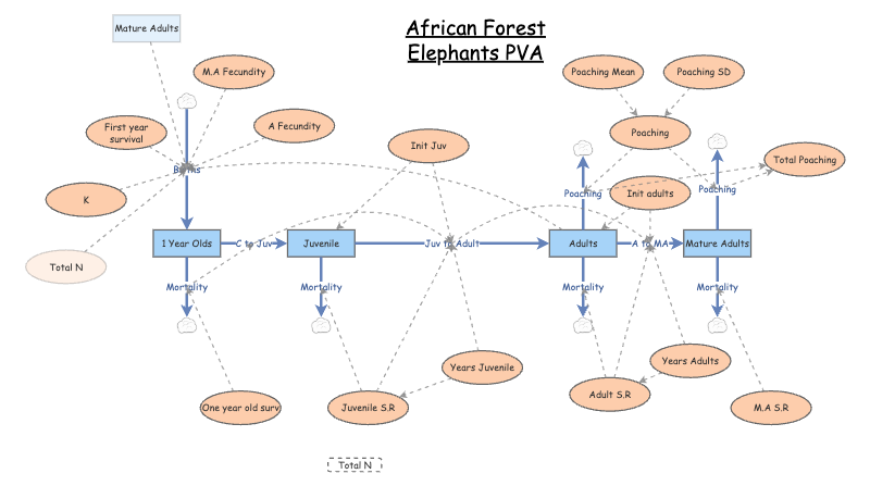 Elephant PVA v3 | Insight Maker