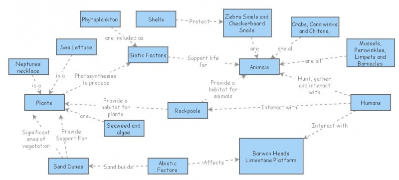 Concept map | Insight Maker