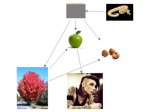 mapple tree | Insight Maker