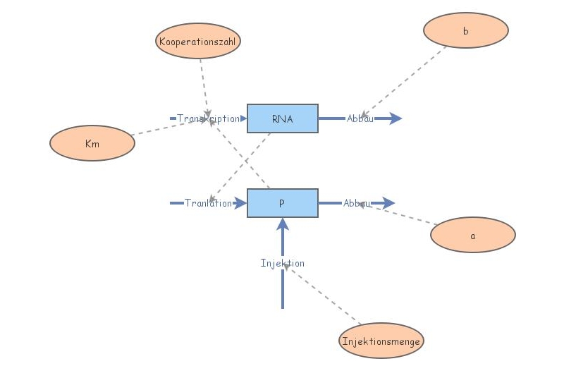 Griffith Switch | Insight Maker