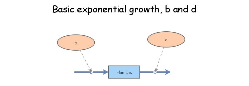 Basic exponential growth, if then else | Insight Maker