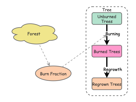 Forest Fire Model | Insight Maker