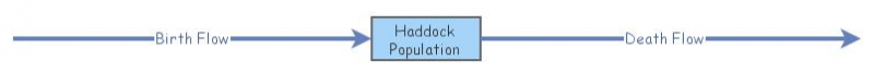 Linear Flow Haddock Model 9/10/15 | Insight Maker