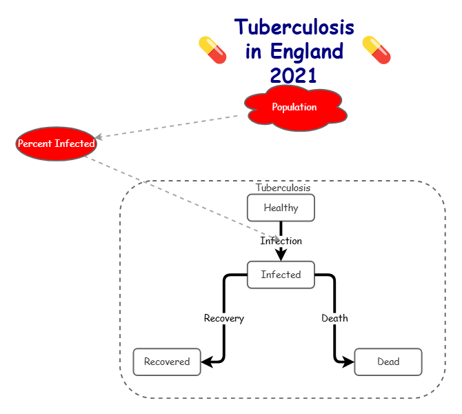 Clone of Tuberculosis in England 2021 agent | Insight Maker
