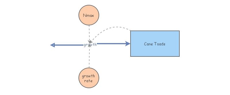 Cane Toads | Insight Maker