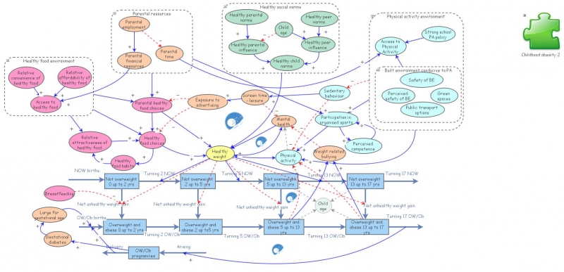 Integrated Lifestyle Risk Factors Concept Map | Insight Maker