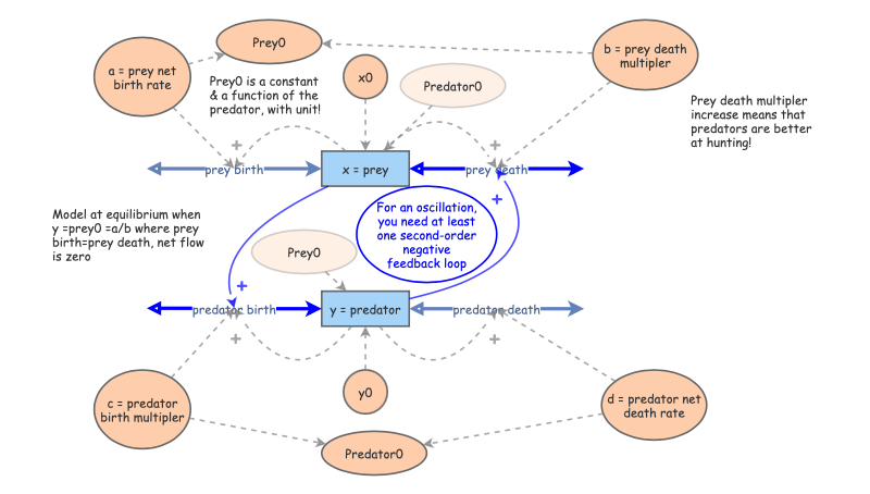 3.2 Predator-prey Model | Insight Maker