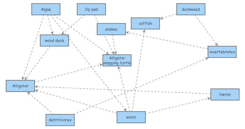 Alligator Snapping Turtle Food web | Insight Maker