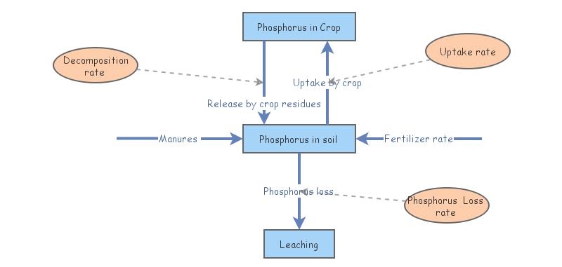 Conceptual Model of Phosphorus | Insight Maker