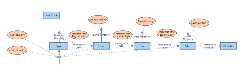 Honeybee Age Structured Population | Insight Maker