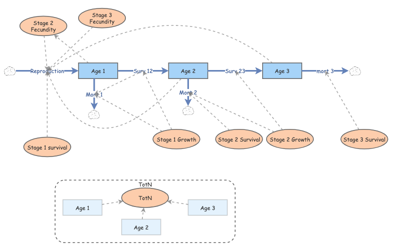 Clone of Age-Structured Model- Tolotti | Insight Maker