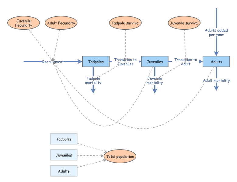 Lab 6: Stage Structure | Insight Maker