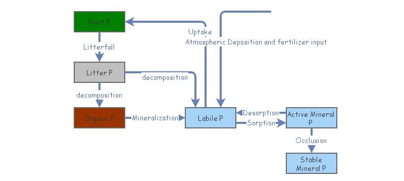 P model | Insight Maker