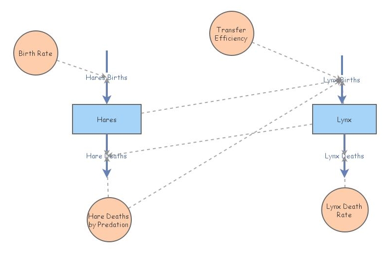 Predator Prey Dynamics - Hare and Lynx | Insight Maker
