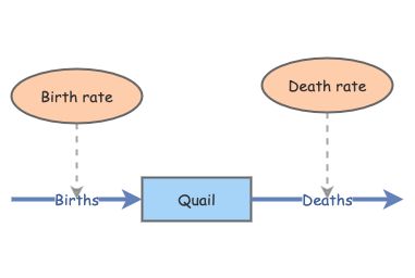 Vasi's first model | Insight Maker