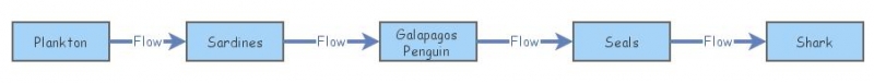 FOOD CHAIN OF A GALAPAGOS PENGUIN | Insight Maker