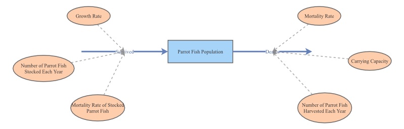 Parrot Fish Population Model | Insight Maker
