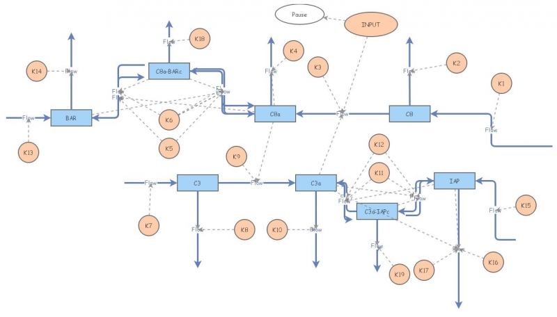 Clone of Assignment Trial 1 | Insight Maker