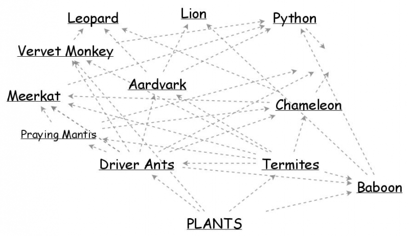 Food Fight Aardvark Food Web | Insight Maker