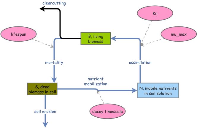 Clone of Terrestrial N cycle model template | Insight Maker
