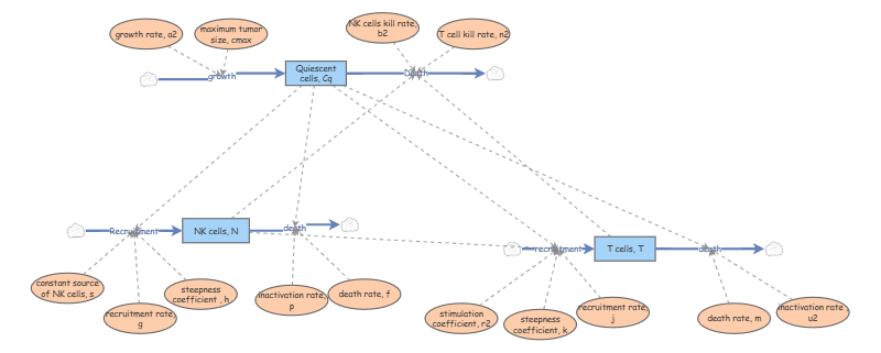 Quiescent growth cell model | Insight Maker