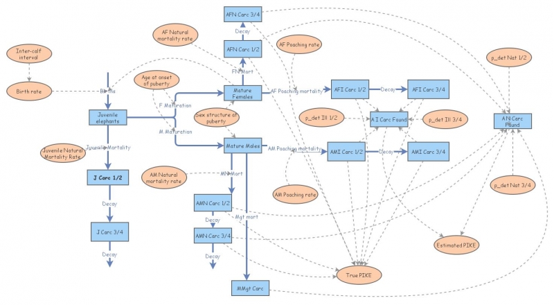 MIKE model | Insight Maker