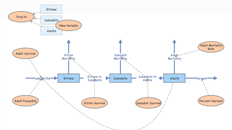 Puma Stage Structure | Insight Maker